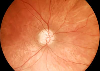 PHELCOM Technologies