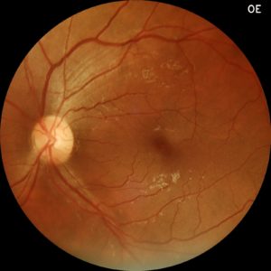 PHELCOM Technologies