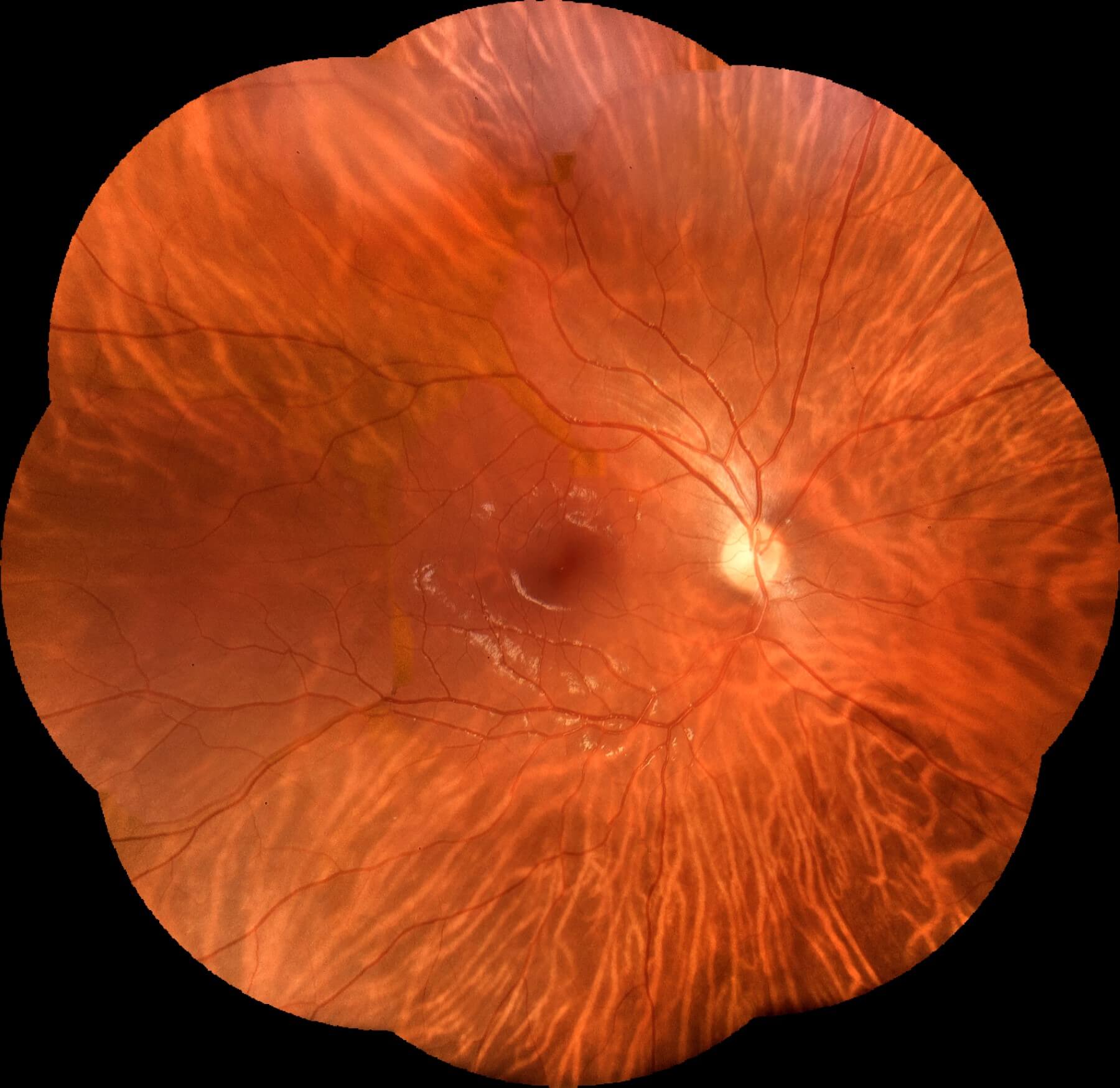 Otimize o fluxo da sua clínica - PHELCOM Technologies